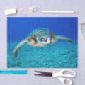 Swimming Sea Turtle Tissue Paper | Zazzle