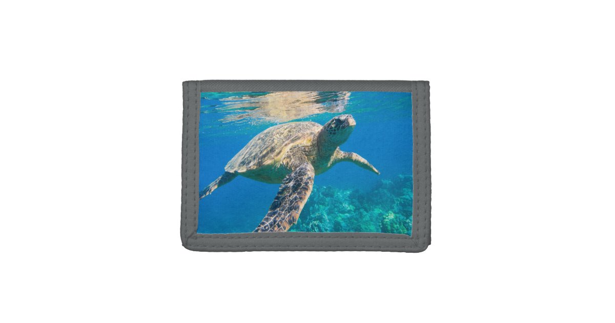 Swimming Sea Turtle Tri-fold Wallet | Zazzle