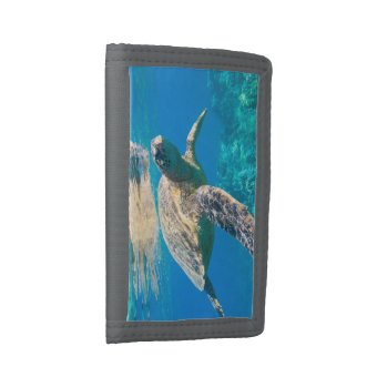 Swimming Sea Turtle Tri-fold Wallet | Zazzle