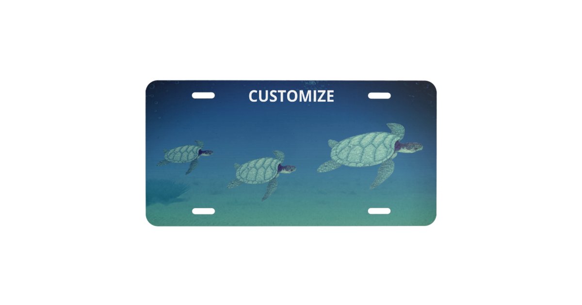 Swimming Sea Turtles License Plate | Zazzle
