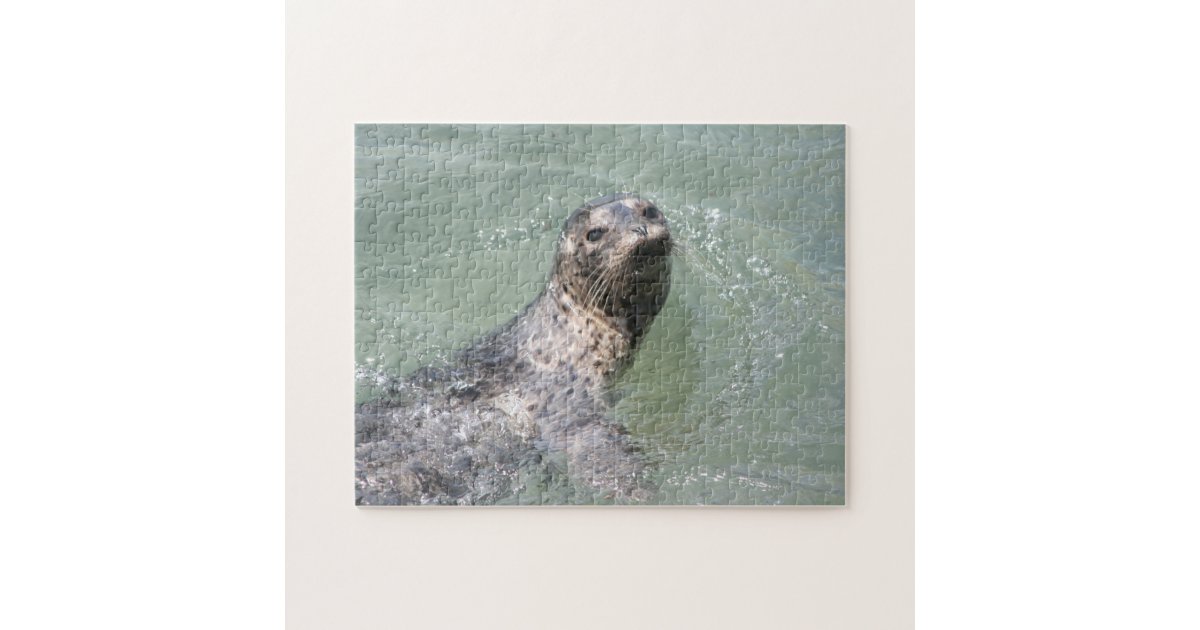 Swimming Seal Jigsaw Puzzle | Zazzle