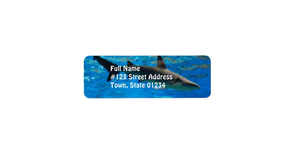 Swimming Shark Mailing Labels | Zazzle
