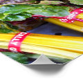 Swiss Chard Poster | Zazzle