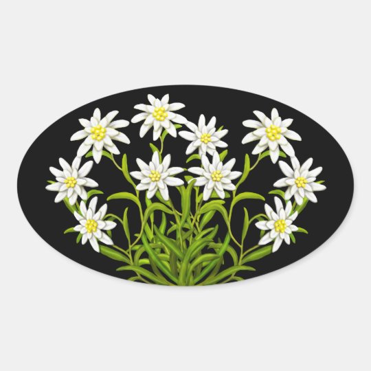 Swiss Edelweiss Flowers Bouquet Sticker | Zazzle.com