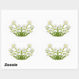 Swiss Edelweiss Flowers Sticker | Zazzle