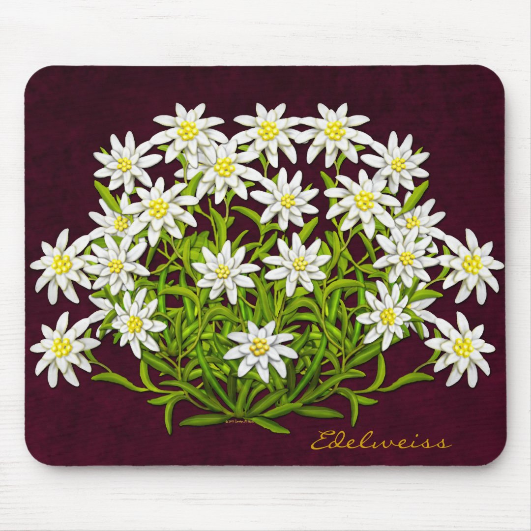 Swiss Mountain Edelweiss Flowers Mousepad | Zazzle