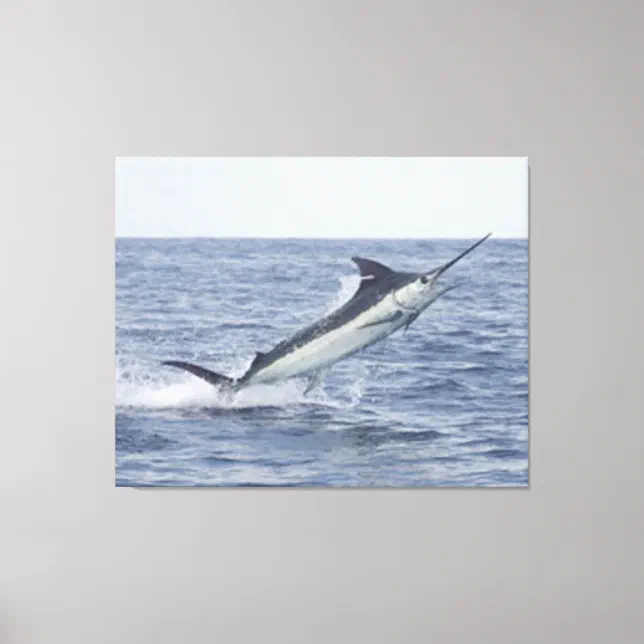 SWORDFISH CANVAS PRINT | Zazzle