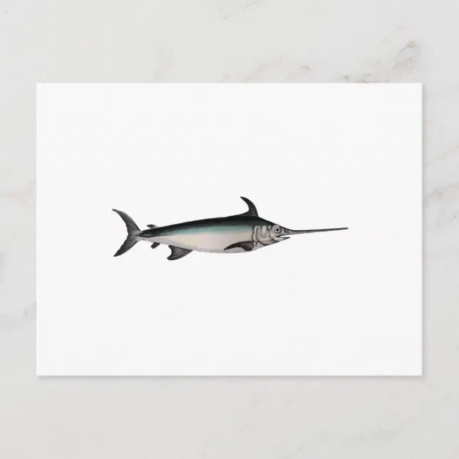 Swordfish Logo Postcard | Zazzle