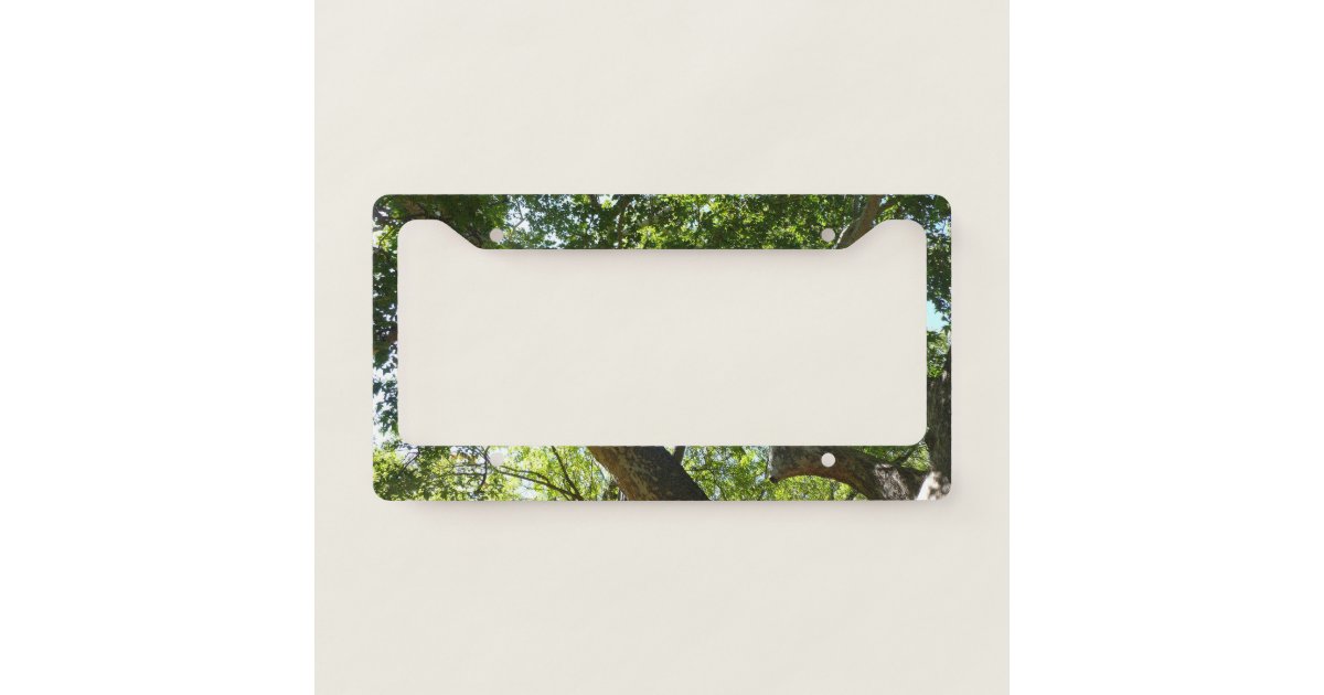 Sycamore Tree Green Nature License Plate Frame | Zazzle