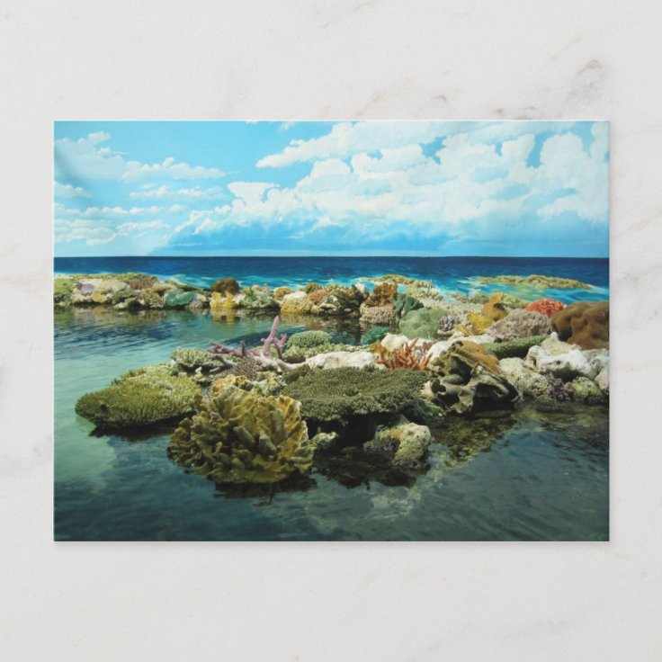 Sydney Great Barrier Reef Postcard | Zazzle