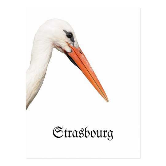Symbol Of Strasbourg, Alsace Postcard | Zazzle.com
