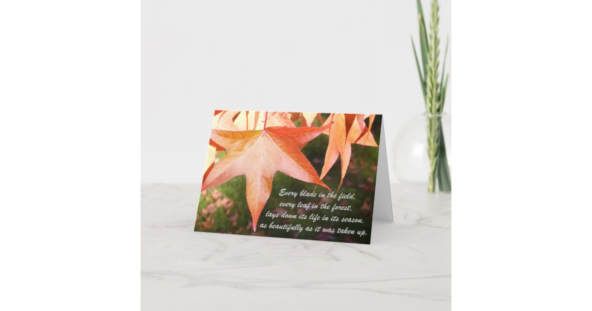 Sympathy Autumn Leaves Card | Zazzle