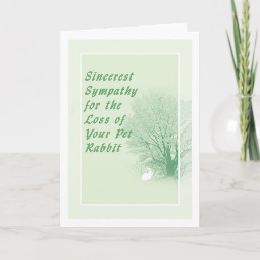 Sympathy Card for Loss of Pet Rabbit | Zazzle