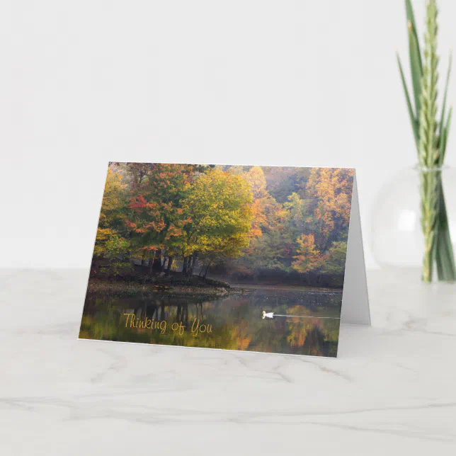 Sympathy Card - Misty Morning | Zazzle