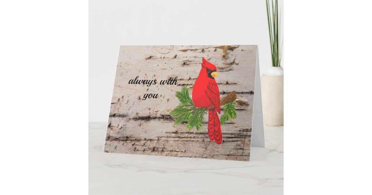Sympathy card, red cardinal, thoughtful card, card | Zazzle