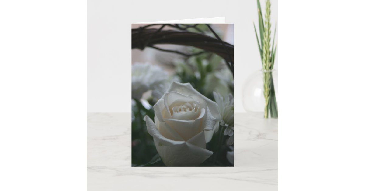 Sympathy Card white rose unique greeting cards | Zazzle