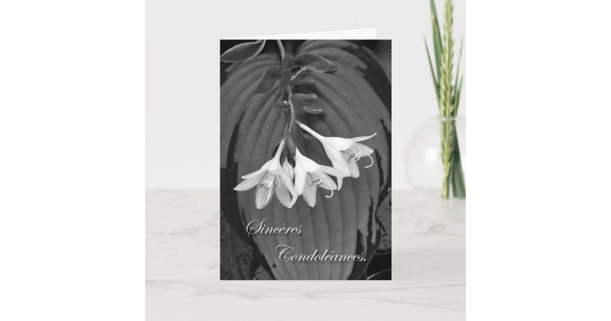 Sympathy Condolences in French, Hosta Blooms Card | Zazzle