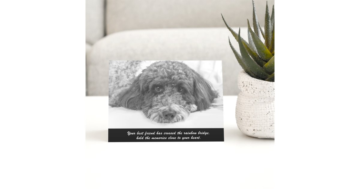 Sympathy Labradoodle Greeting Card | Zazzle