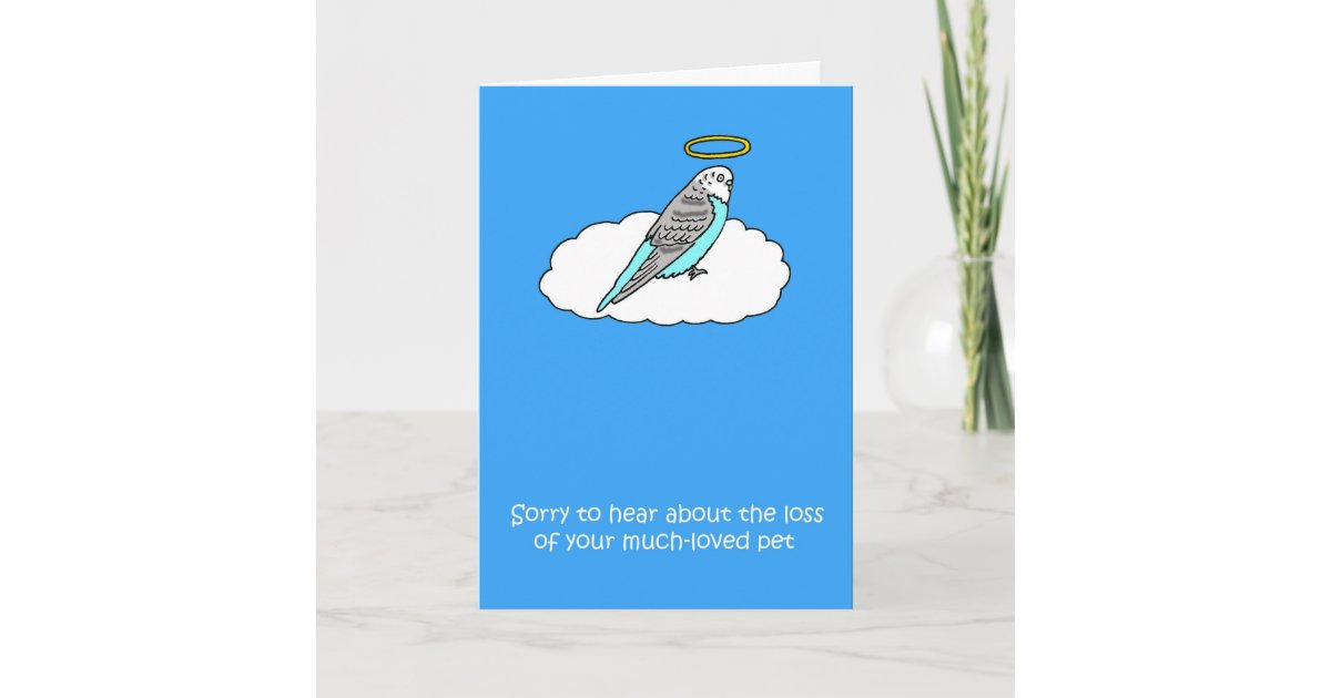 Sympathy on Loss of Pet Bird Card | Zazzle