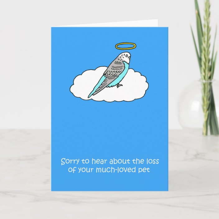 Sympathy on Loss of Pet Bird Card | Zazzle.com
