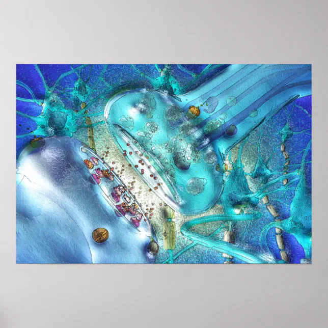 Synapse poster | Zazzle
