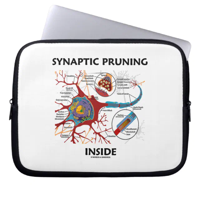 Synaptic Pruning Inside Neuron Synapse Neurology Laptop Sleeve | Zazzle