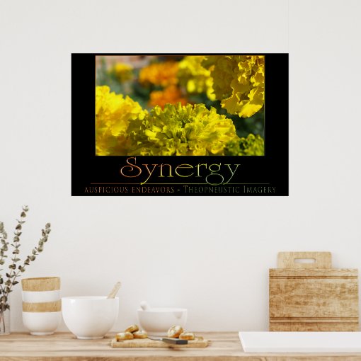 Synergy Poster | Zazzle