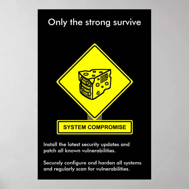 System Compromise Security Awareness Poster | Zazzle