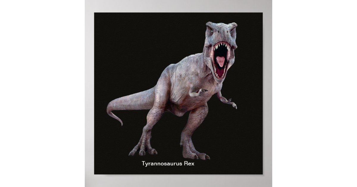 T-Rex image for Poster | Zazzle