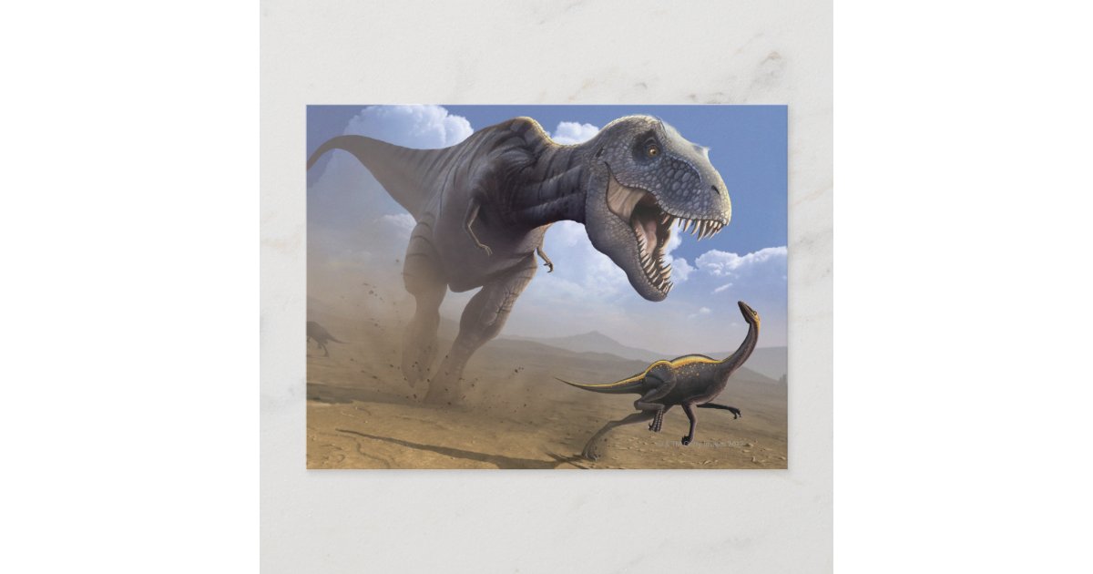 T Rex Postcard | Zazzle