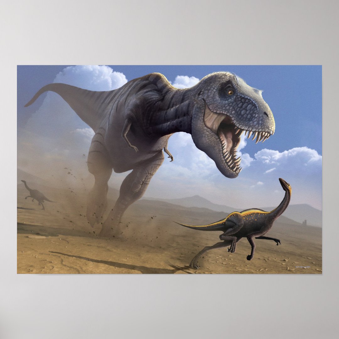 T Rex Poster | Zazzle