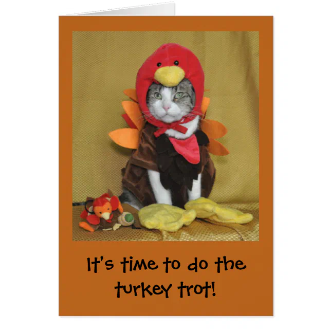 Tabby and white cat Thanksgiving card | Zazzle