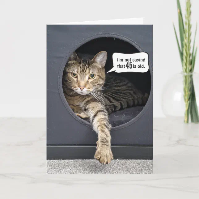 Tabby Cat 45th Birthday Humor Card | Zazzle