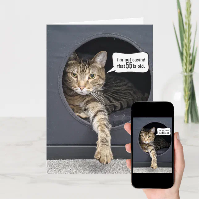 Tabby Cat 55th Birthday Humor Card | Zazzle