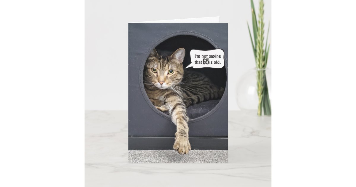 Tabby Cat 65th Birthday Humor Card | Zazzle
