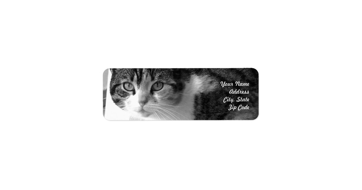 Tabby cat address labels | Zazzle