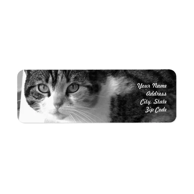 Tabby cat address labels | Zazzle