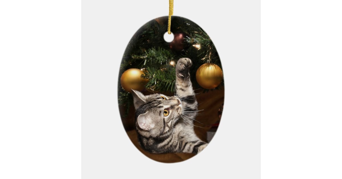Tabby cat and Christmas tree Ceramic Ornament | Zazzle