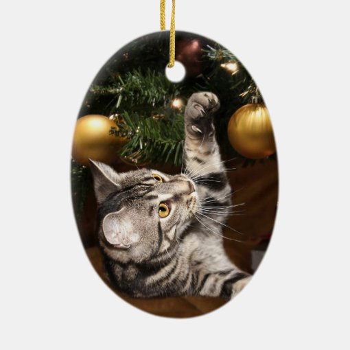 Tabby cat and Christmas tree Ceramic Ornament | Zazzle