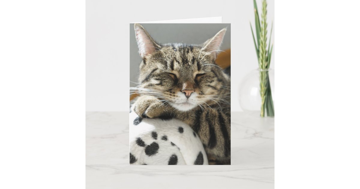 TABBY CAT BIRTHDAY CARD | Zazzle