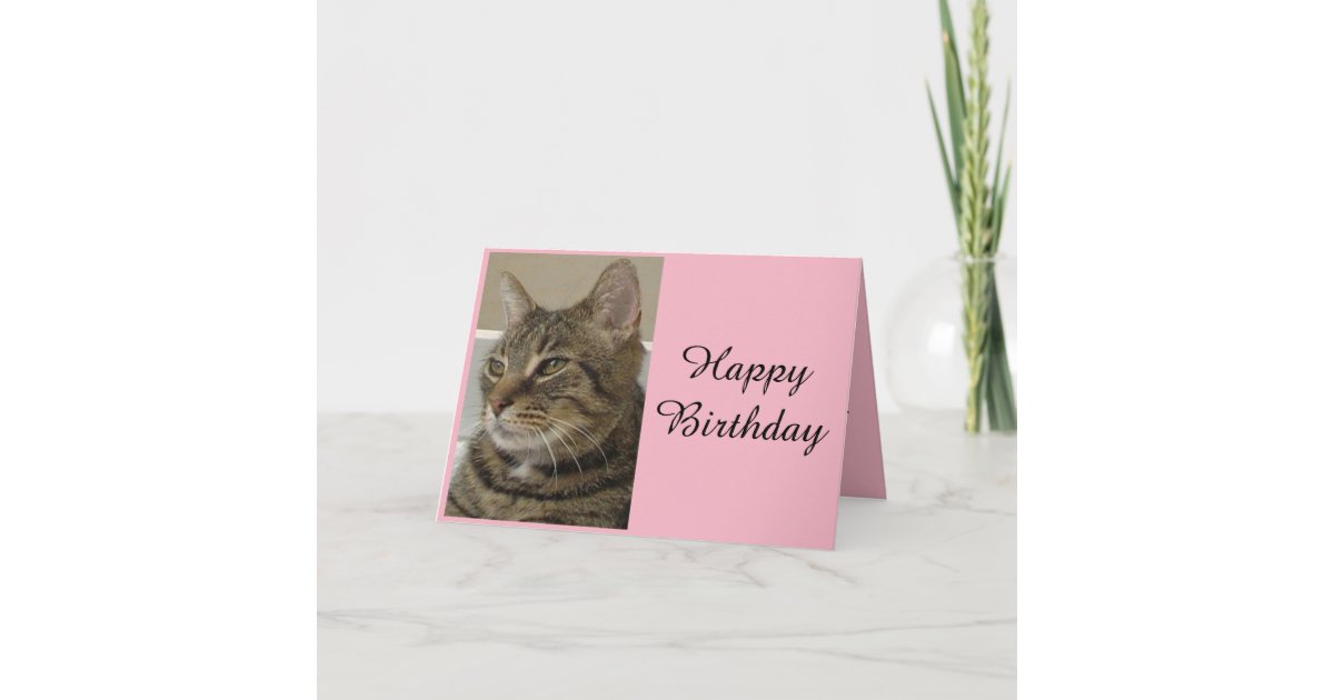 Tabby Cat Birthday Card | Zazzle