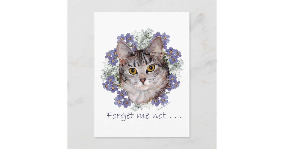 Tabby Cat Forget-Me-Not Postcard | Zazzle