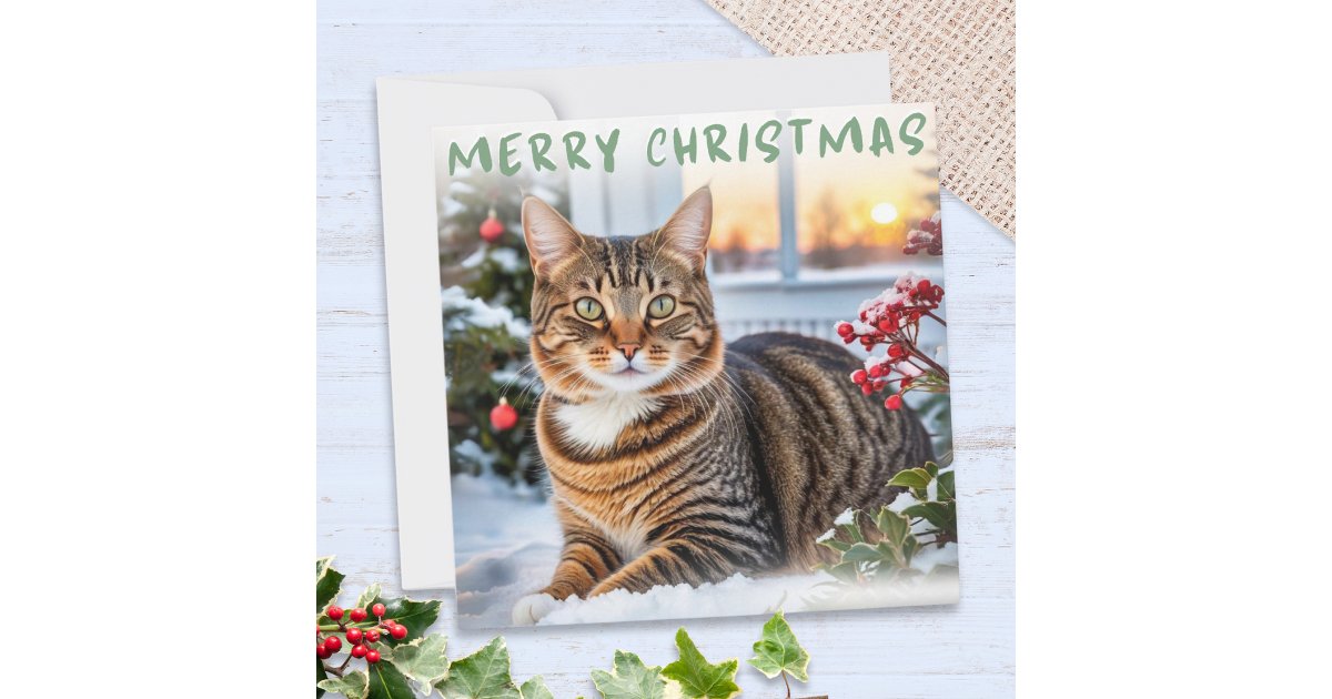 Tabby Cat In Snow Elegant Merry Christmas Holiday Card | Zazzle