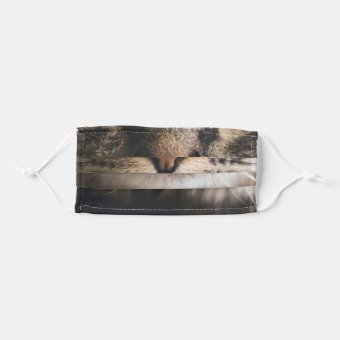 Tabby cat kitten funny whiskers mouth adult cloth face mask | Zazzle