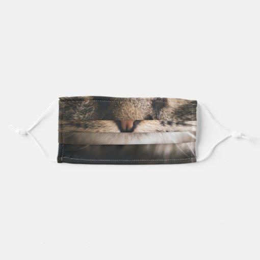 Tabby cat kitten funny whiskers mouth adult cloth face mask | Zazzle