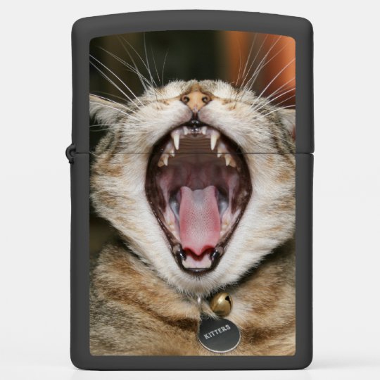 Tabby Cat Photograph Zippo-Cat Mouth Yelling Photo Zippo Lighter ...