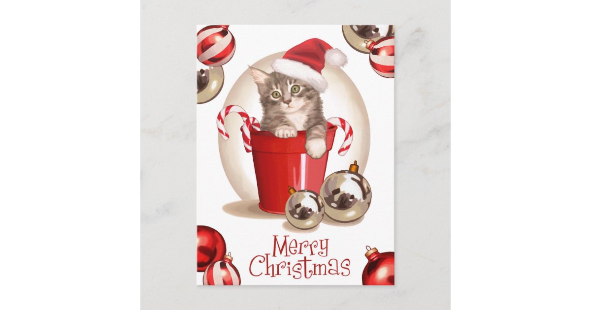 Tabby Kitten Christmas Holiday Postcard | Zazzle