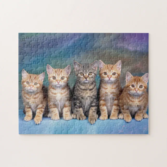 Tabby Kittens x Five Jigsaw Puzzle | Zazzle