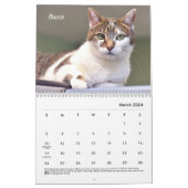 Tabby's Place calendar | Zazzle