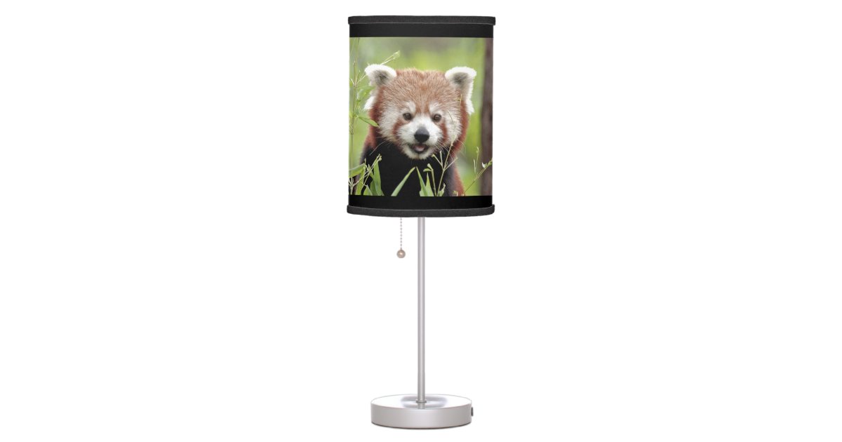 Table Lamp Photo red panda , animals 0339. | Zazzle